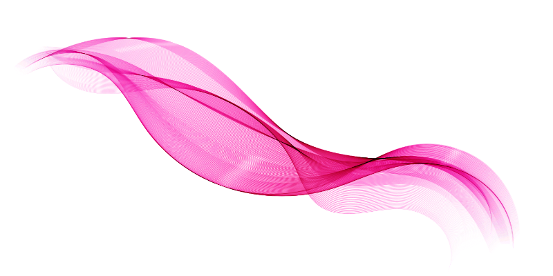 The Authenticity Principle - Ritu Bhasin